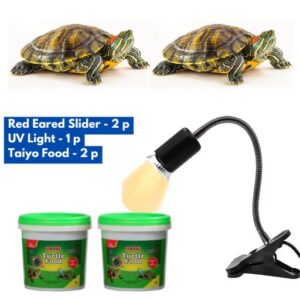 Red Eared Slider Turtle 2p, UV light and food 2p [Combo Offer] – PetCase